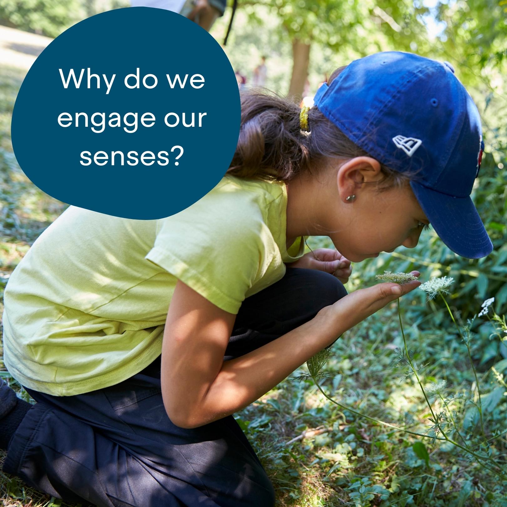 Why do we do what we do!? - Pine Project