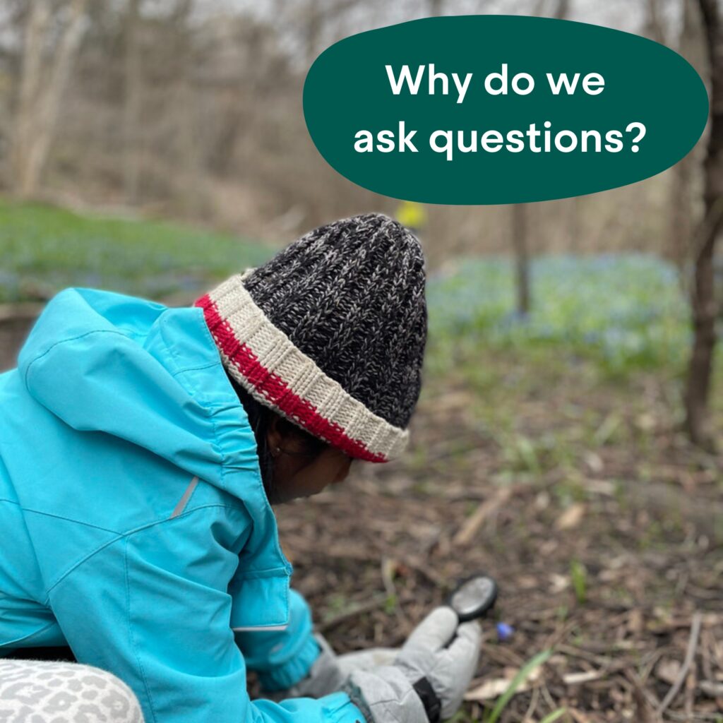 Why do we do what we do!? - Pine Project